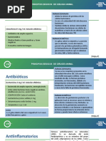 Proteus Ox-19 y Rickettsiosis: Guía Clínica | PDF | Organismos ...