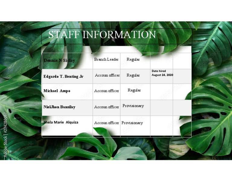 Staff Information and Roles Overview | PDF