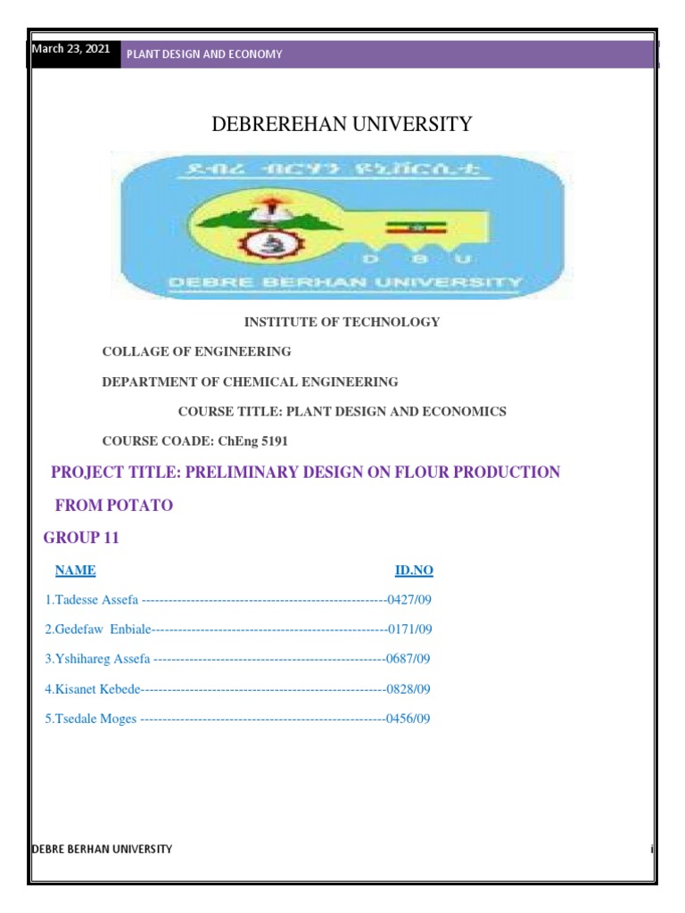 Plant Design &economics | PDF | Potato | Flour