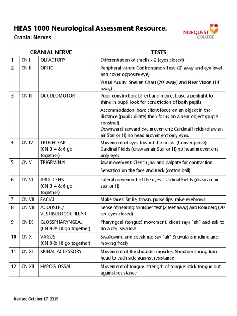 Tests For Cranial Nerves | PDF | Neuroanatomy | Human Head And Neck