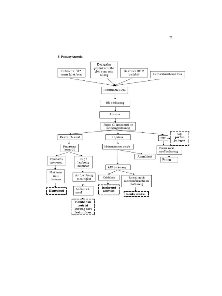 Pathways Anemia | PDF