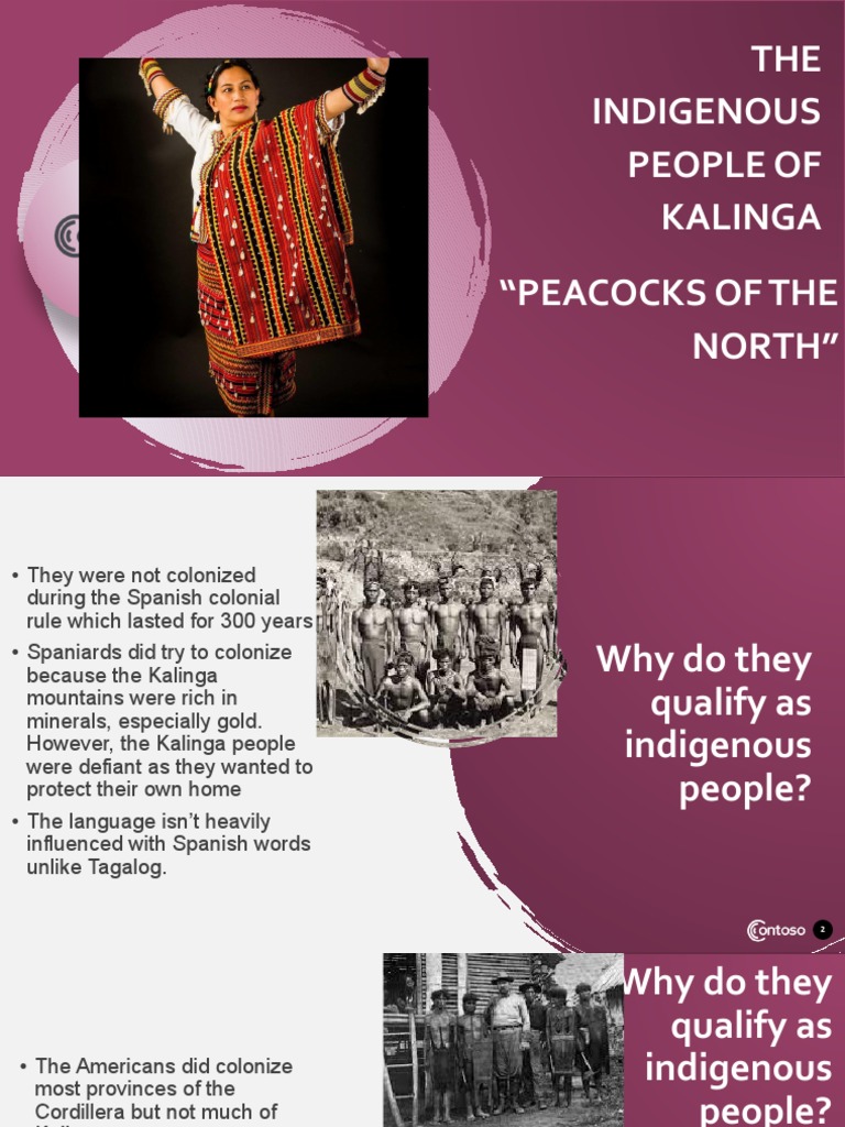 The Indigenous People of Kalinga | PDF | Tribe | Ethnicity
