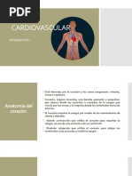 Informe de Diseccion de Corazon de Vaca | PDF | Ventrículo (corazón) | Corazón