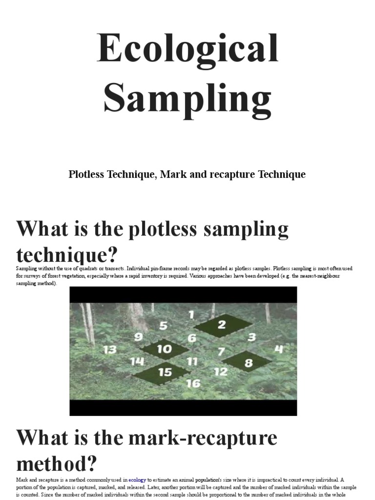 Estimating Population Sizes Through Ecological Sampling Techniques A Comparison Of Plotless And