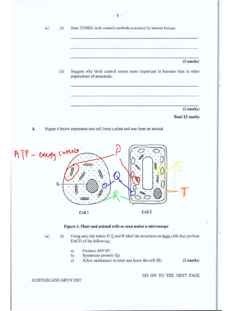 Biology Cells Review . | PDF