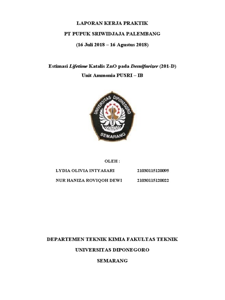 P3 Laporan Tugas Umum KP Undip | PDF