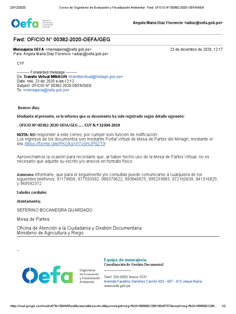 Cargo OFICIO 00382-2020-OEFA - GEG | PDF