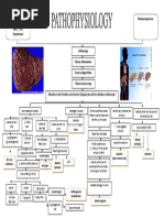 Concept Map Liver Cirrhosisss | PDF | Liver | Cirrhosis