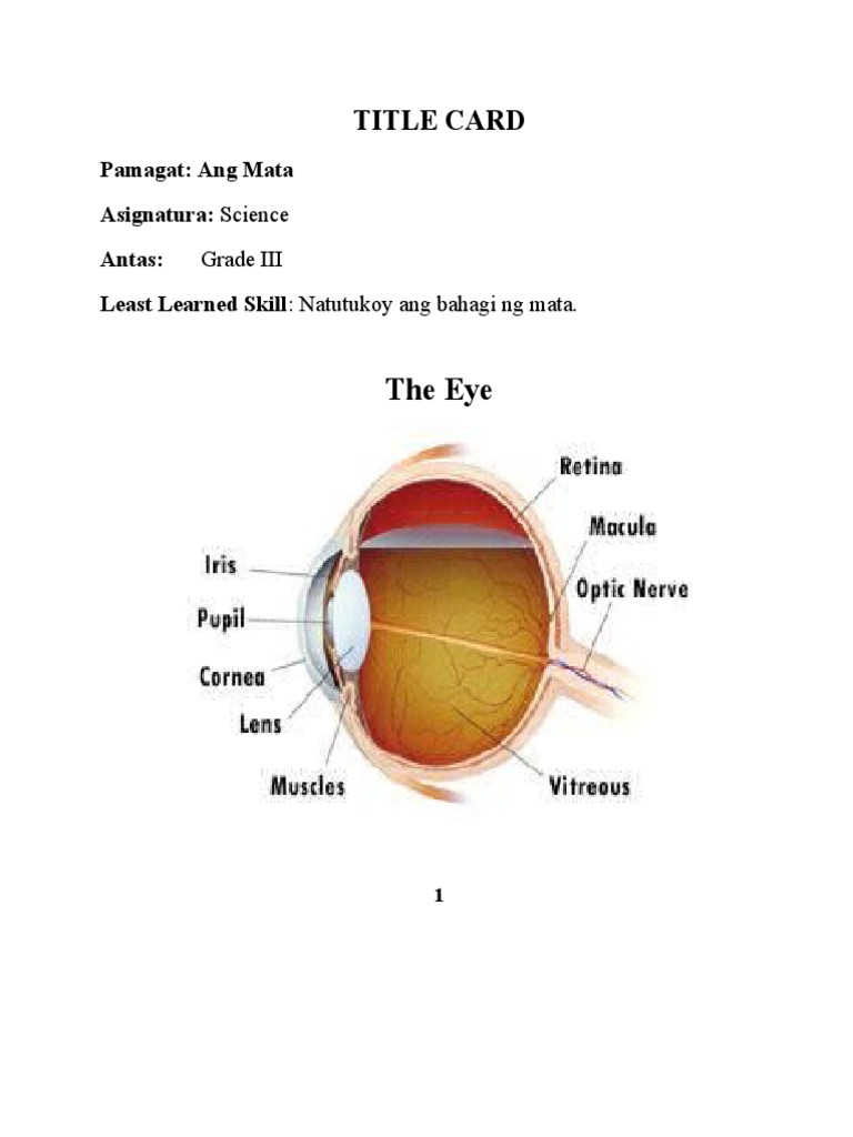 SIM - Bahagi NG Mata | PDF