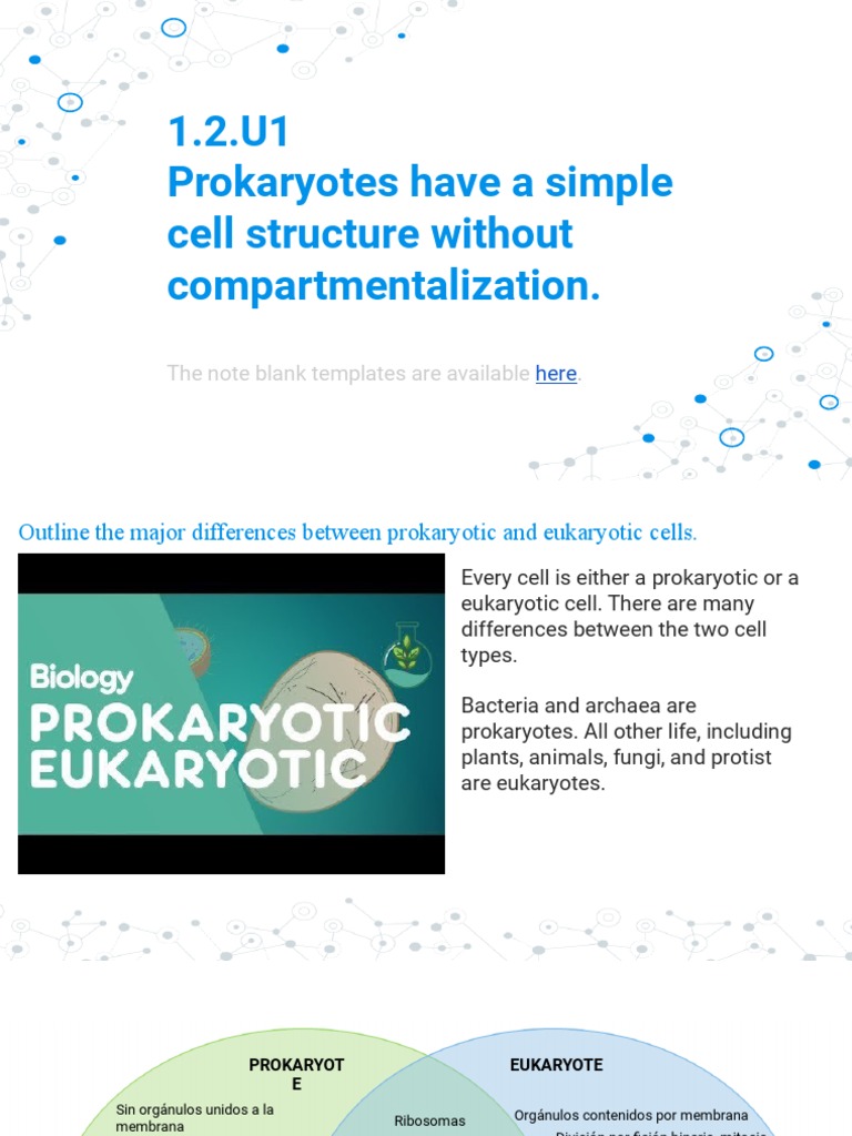 Prokaryote Cells Powerpoint | PDF | Cell (Biology) | Ribosome