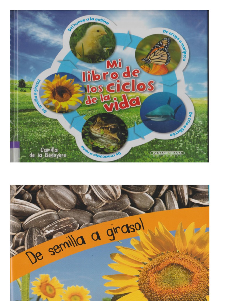 Mi Libro de Los Ciclos de La Vida | PDF