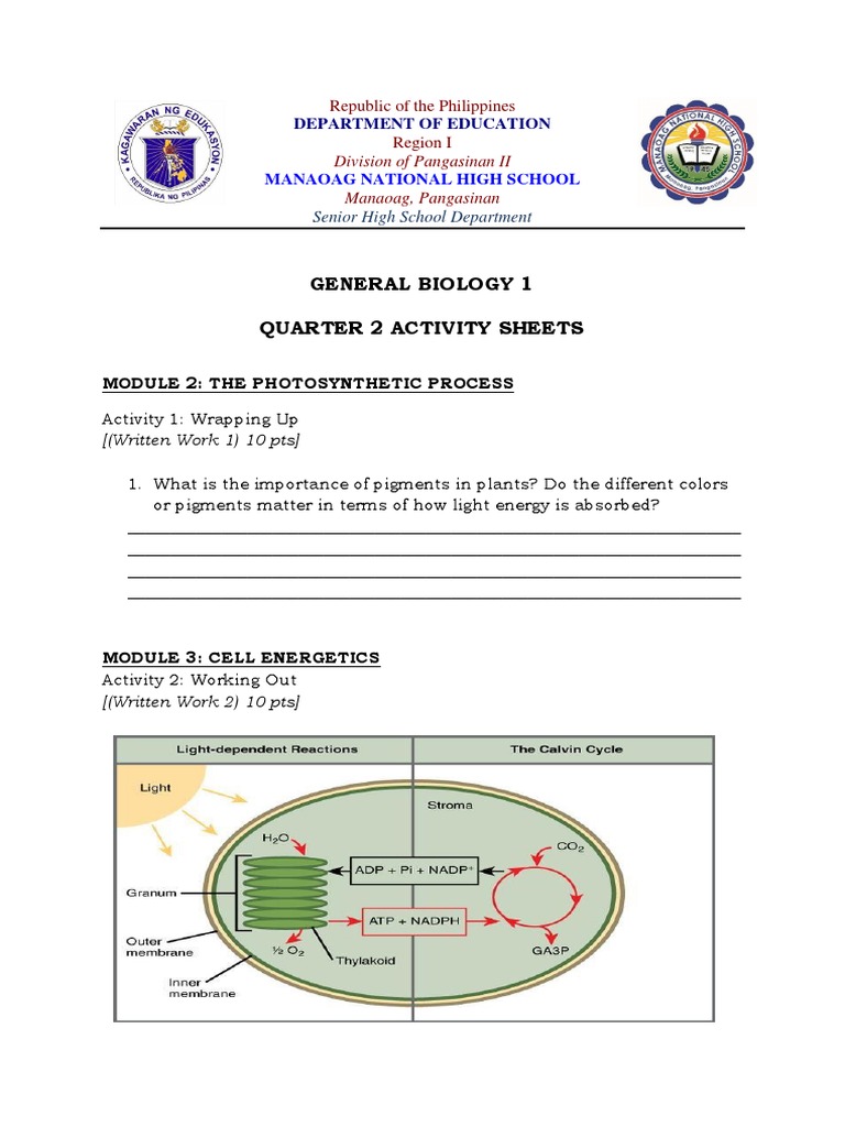 General Biology 1 QTR 2 Activities | PDF | Cellular Respiration ...
