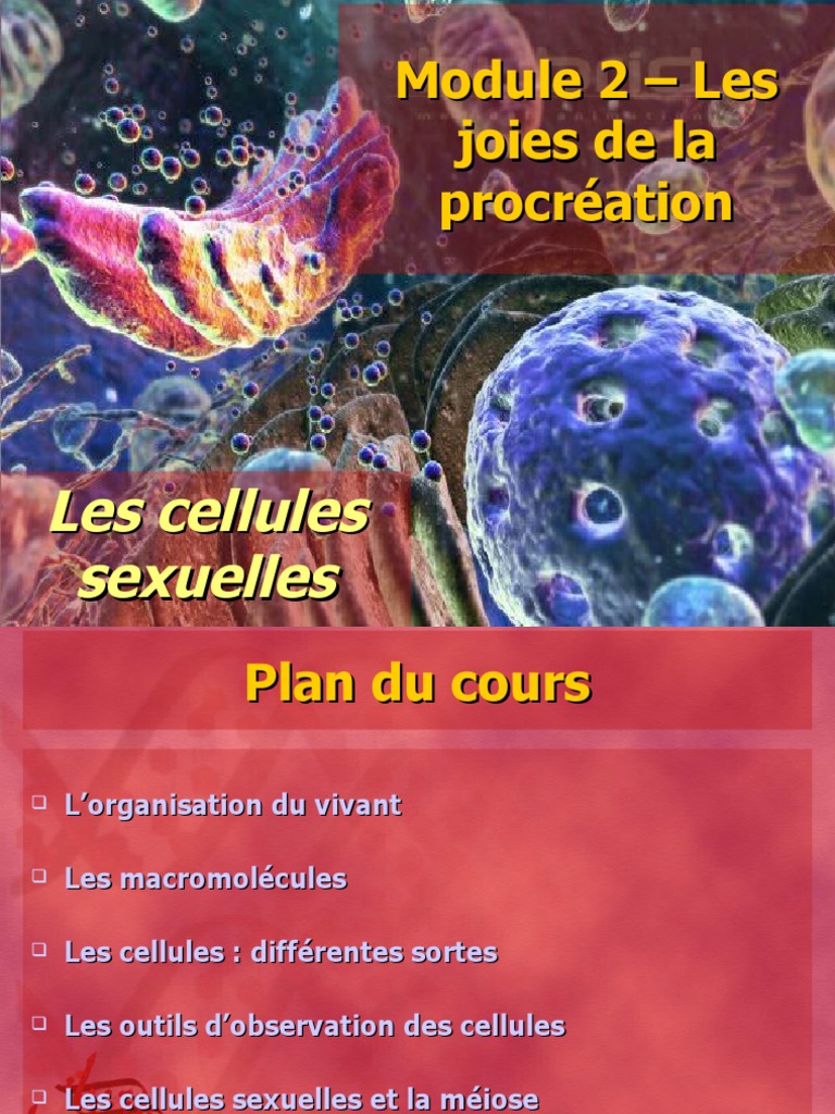 La Cellule | PDF | Cellule (Biologie) | Noyau (biologie)