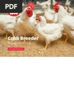2022 Cobb500 Broiler Performance Nutrition Supplement | PDF | Broiler ...