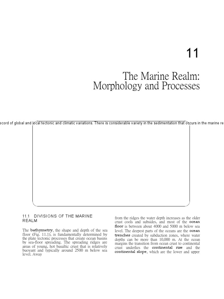 The Marine Realm: Morphology and Processes | Download Free PDF | Tide ...