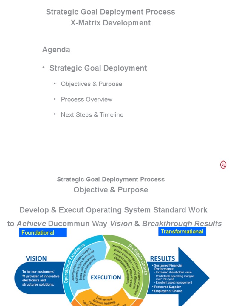 SGD - X-Matrix Development Overview | PDF | Swot Analysis | Business