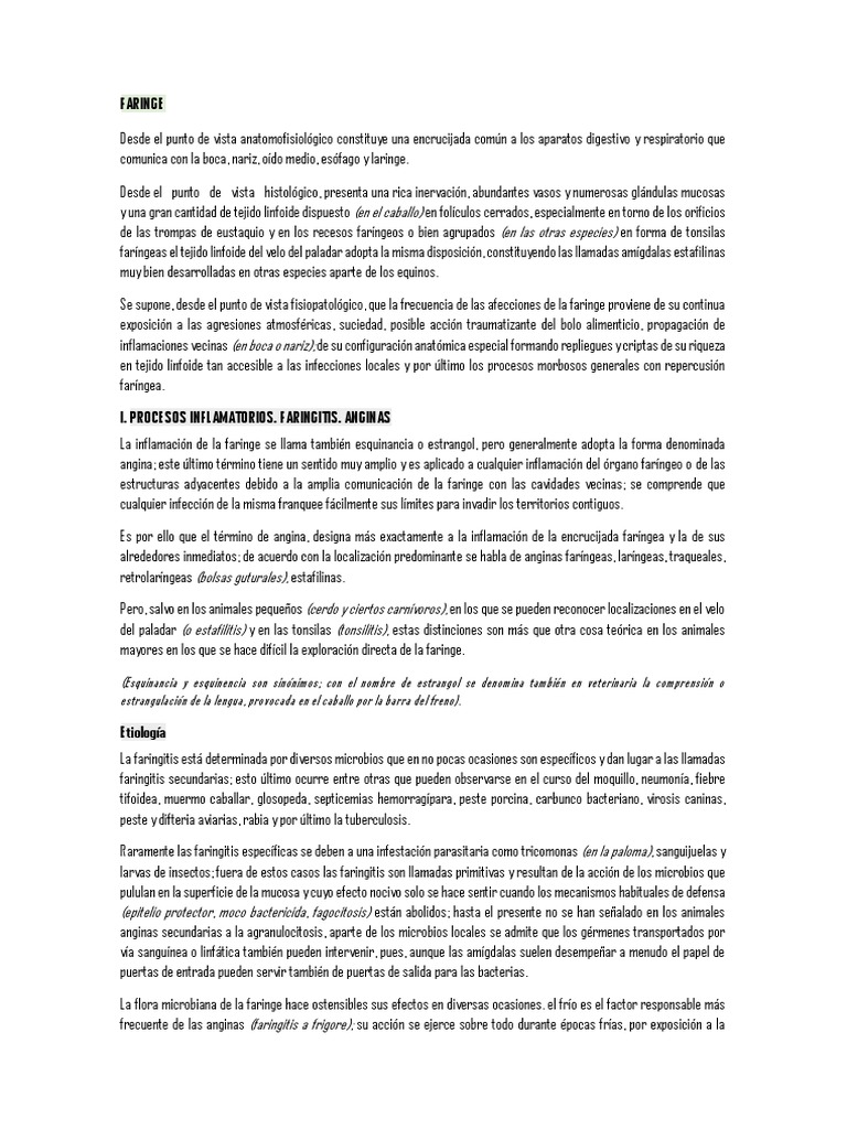 Infecciones y anginas en la faringe | PDF | Enfermedades y trastornos ...
