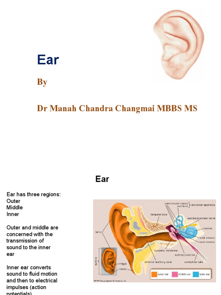 By DR Manah Chandra Changmai MBBS MS | PDF | Ear | Otorhinolaryngology