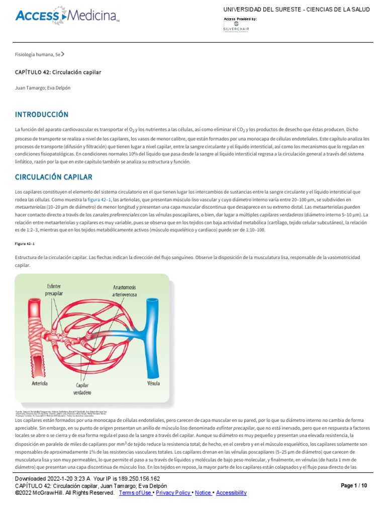 CAPÍTULO 42 - Circulación Capilar | PDF | Capilar | Sistema linfático