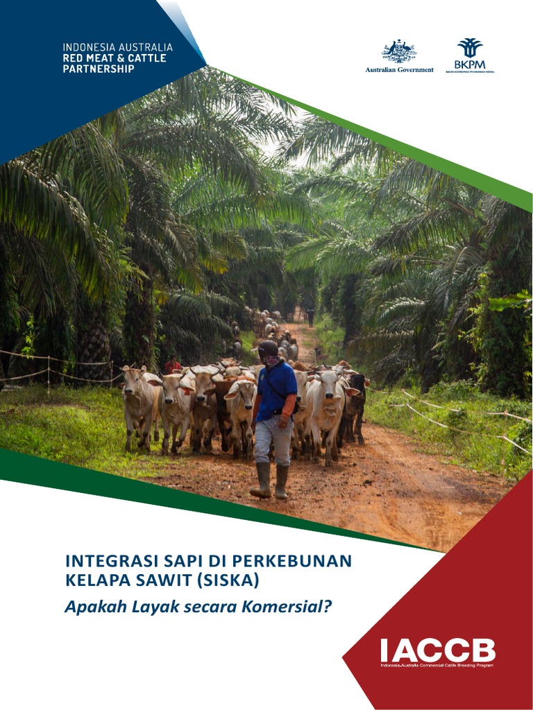 SISKA - Integrasi Sapi Di Perkebunan Sawit | PDF