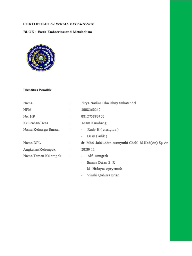 Format Portofolio | PDF