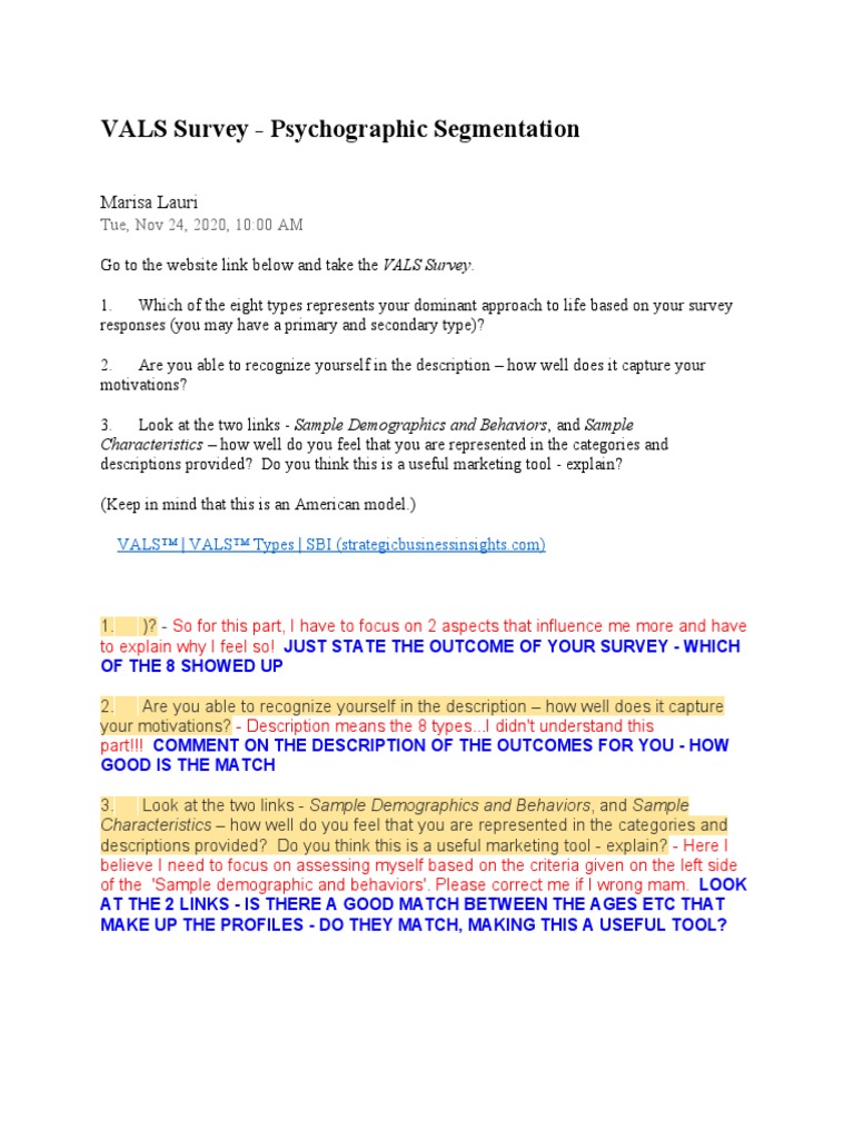 VALS Survey - Psychographic Segmentation: Marisa Lauri | PDF | Market ...