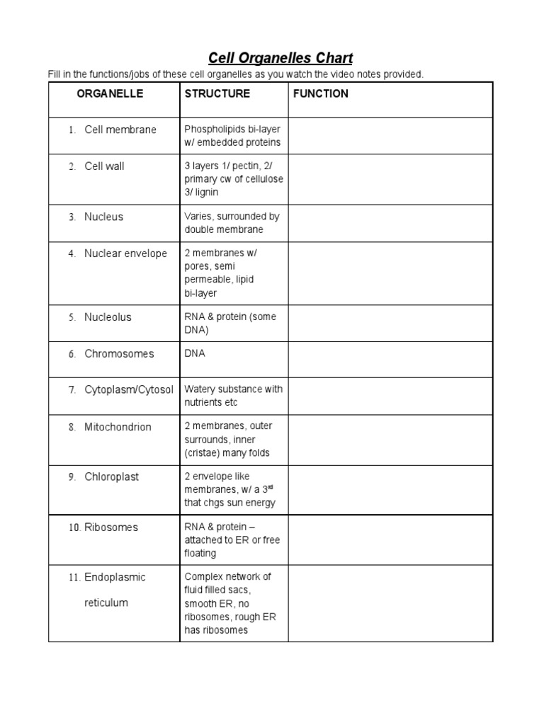 Cell Organelles Chart | PDF | Endoplasmic Reticulum | Cell (Biology)