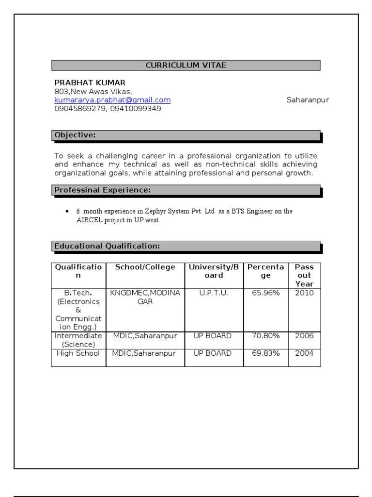 Curriculum Vitae Prabhat Kumar | PDF | Computing | Computing And Information Technology