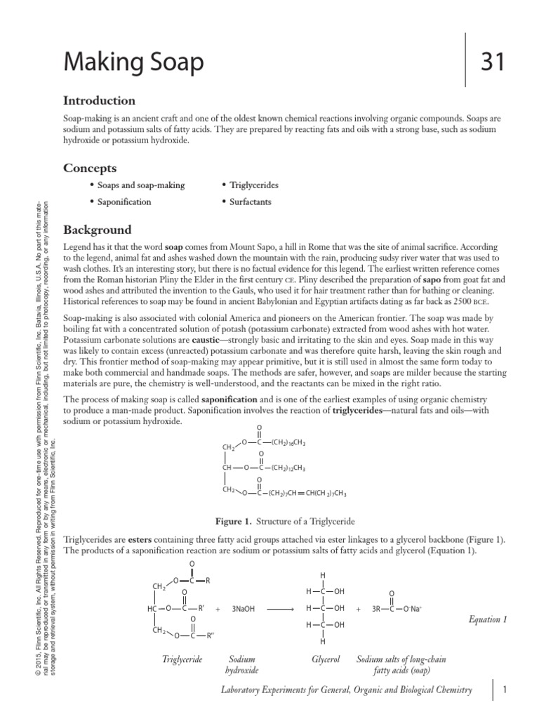 Making Soap 31: Equation 1 | PDF | Soap | Fatty Acid