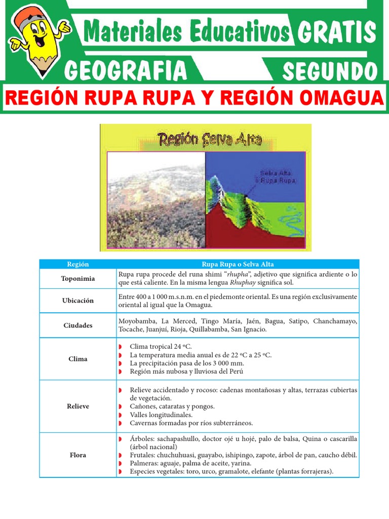 Región Rupa Rupa y Región Omagua para Segundo Grado de Secundaria | PDF ...