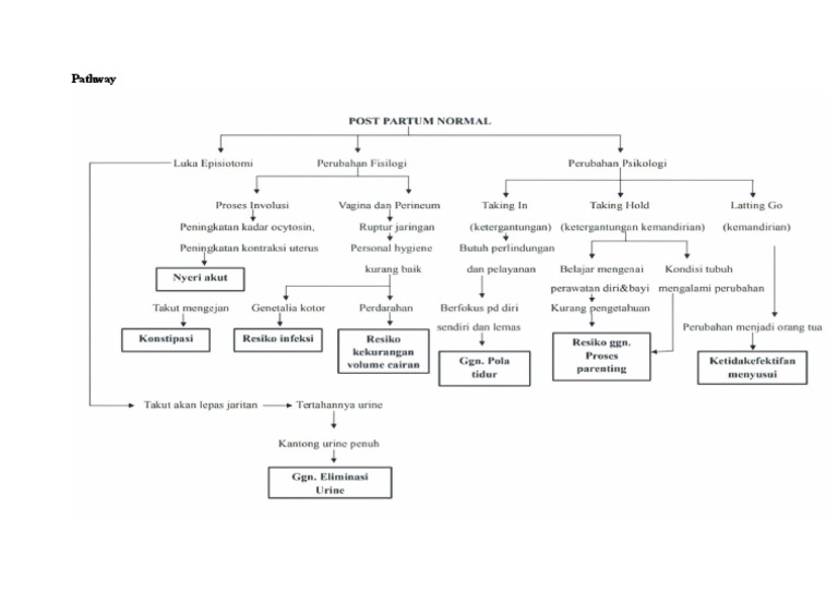 Pathway POST PARTUM SPONTAN | PDF