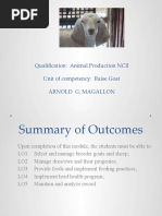 Project Proposal Swine Raising | PDF | Pig | Animals And Humans