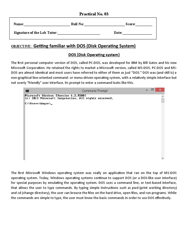 Getting Familiar With DOS (Disk Operating System) : Practical No. 03 | PDF | Computer File ...