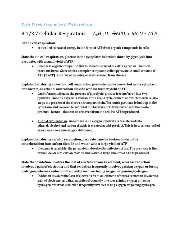 Cell Respiration and Photosynthesis | PDF | Cellular Respiration ...