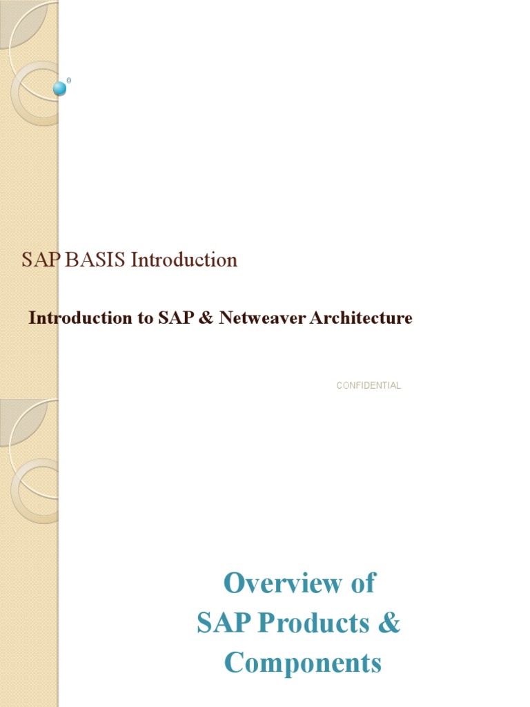 SAP BASIS Introduction | PDF | Computing | Computer Science