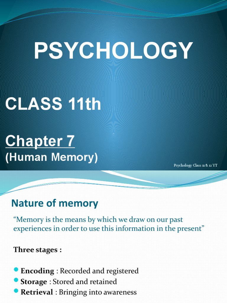 Class 11 CH 7 | PDF | Memory | Cognitive Science