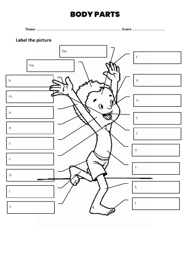 Body Parts - Gap Filling | PDF