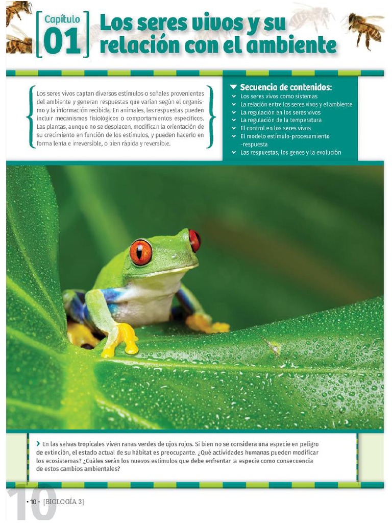 Seres Vivos y Su Interacción Con El Ambiente | PDF