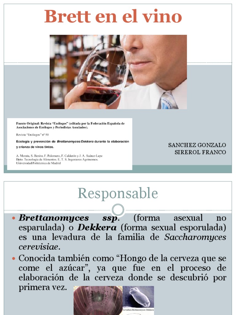 Brettanomyces | PDF | Vino | Cerveza