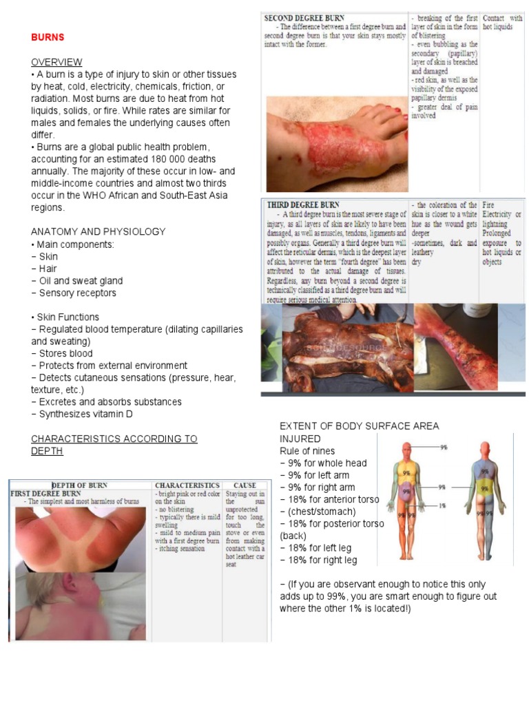 Burns Toxicology | PDF | Burn | Poison
