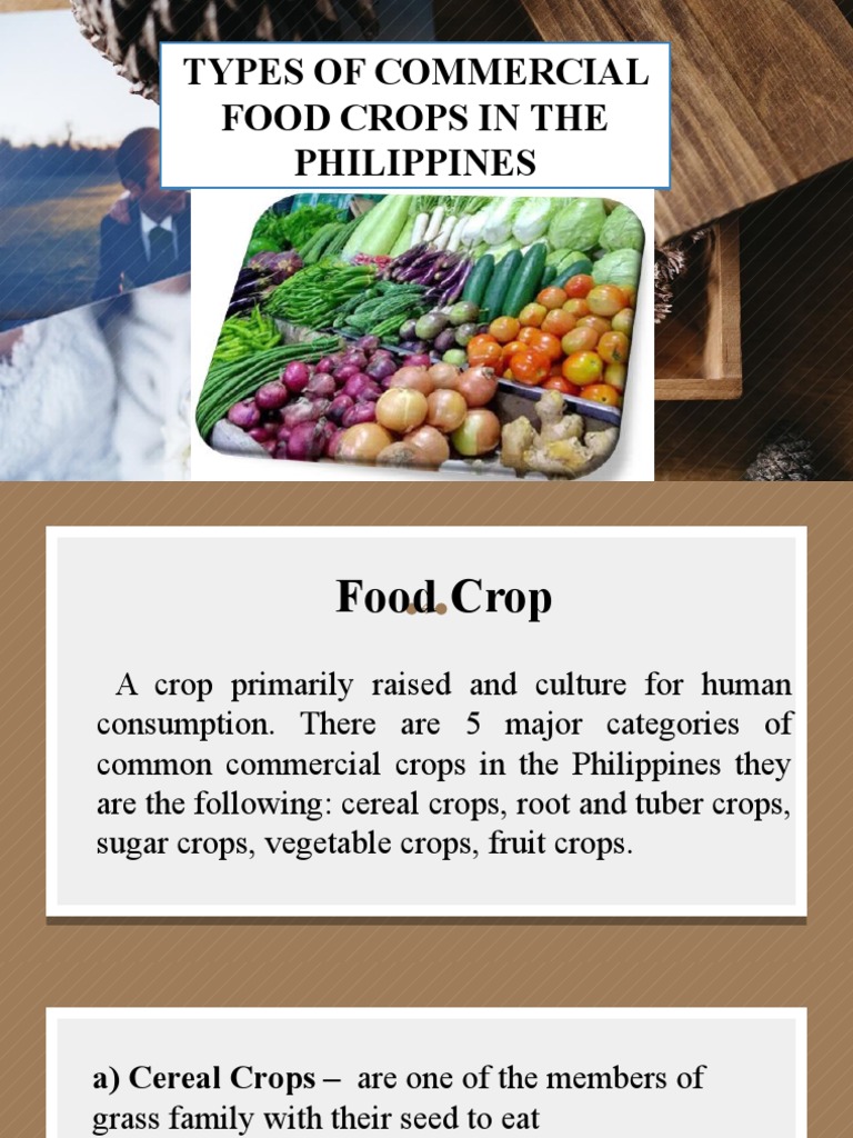 Types of Commercial Food Crops in The Philippines | PDF | Home & Garden ...