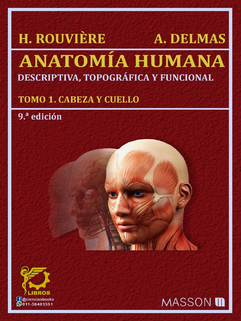 Rouvière Anatomía 9ed T1 | PDF