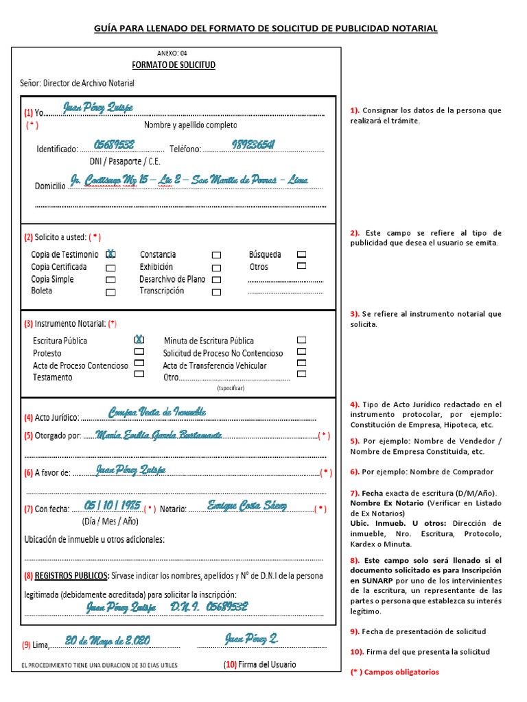Guia para Llenado Del Formato de Solicitud | PDF