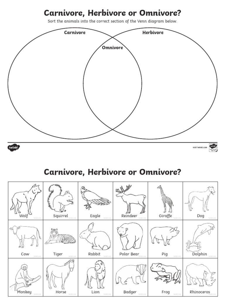 Twinkl Omnivore-Carnivore-Or-Herbivore-Venn-Diagram-Sorting-Activity ...