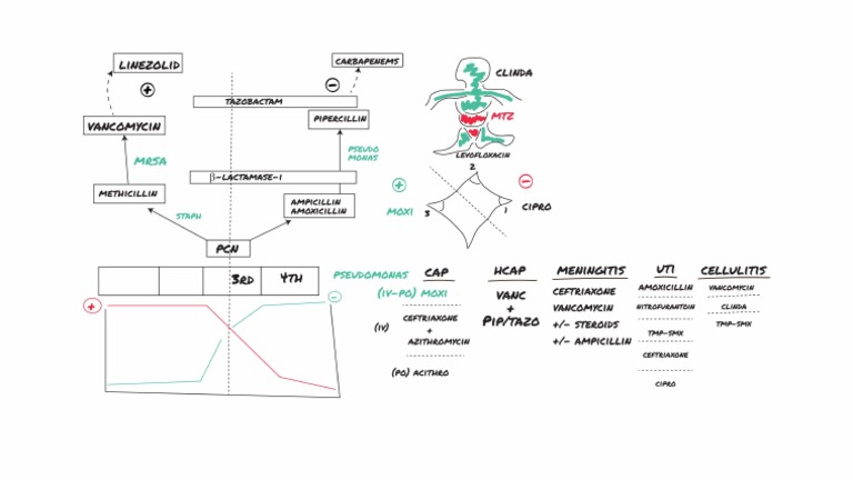 Antibiotic Ladder | PDF