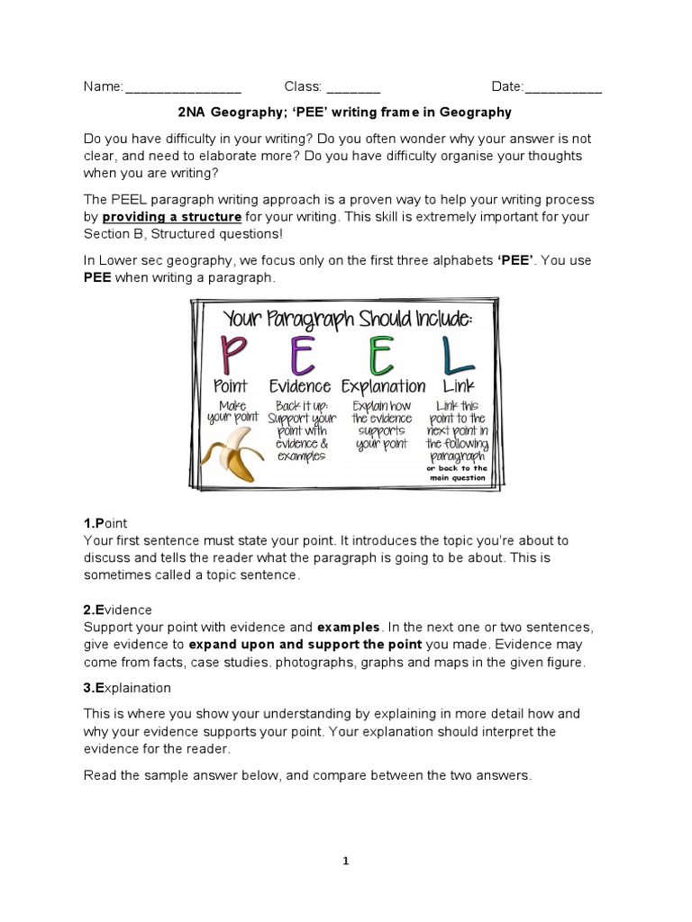 Applying the PEE Writing Framework: A Sample Paragraph Explaining How ...