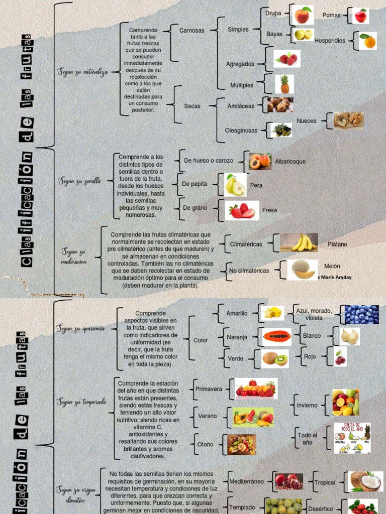 Clasificación de Las Frutas y Hortalizas | PDF | Vegetales | Fruta