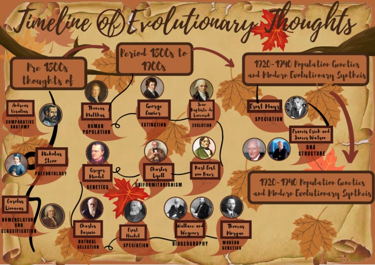 Evolutionary Thought Timeline | PDF | Evolution | Nature