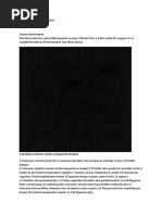 Siemens MS42 Pinout - MS4X Wiki | PDF | Throttle | Sensor