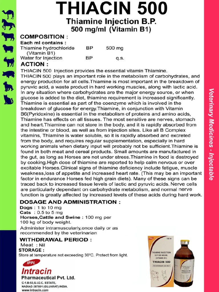 Thiamine Injection | PDF